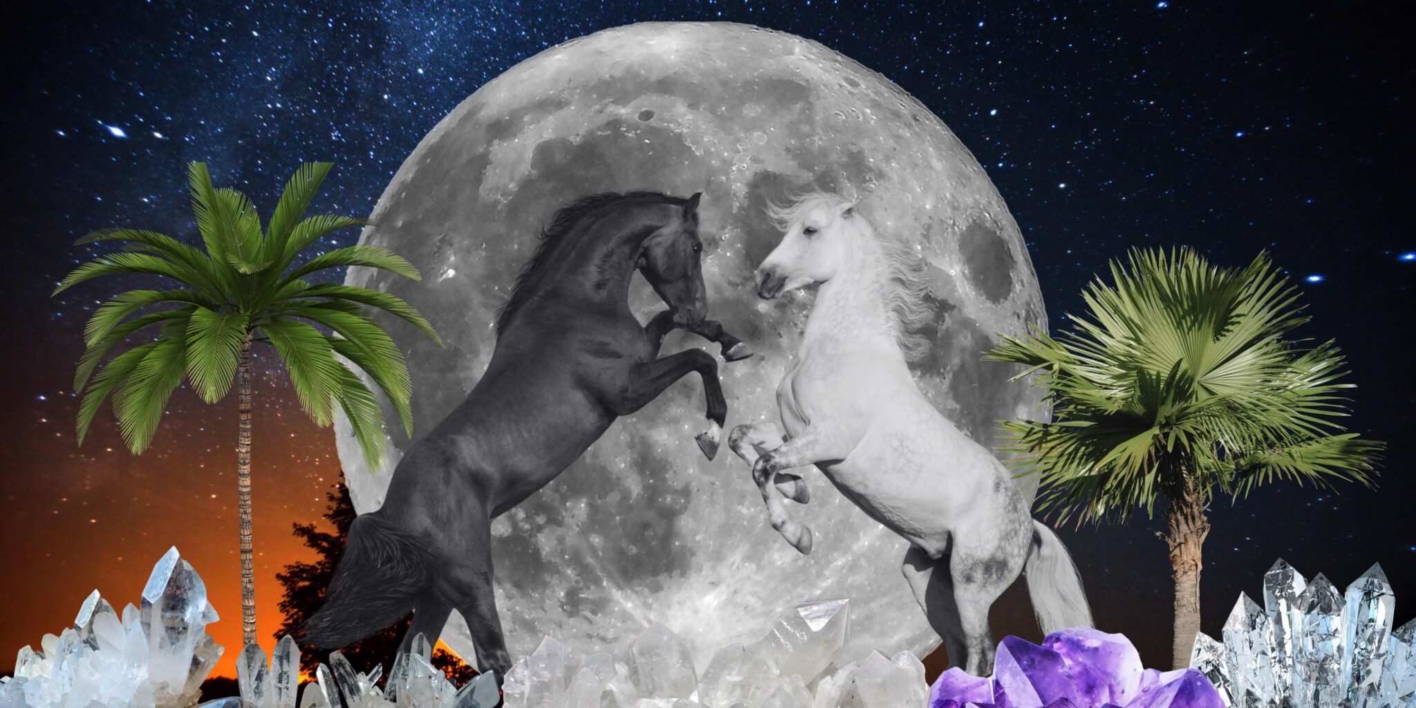 Your New Moon in Scorpio Moonscope November 20 2025 - Horoscope by ...