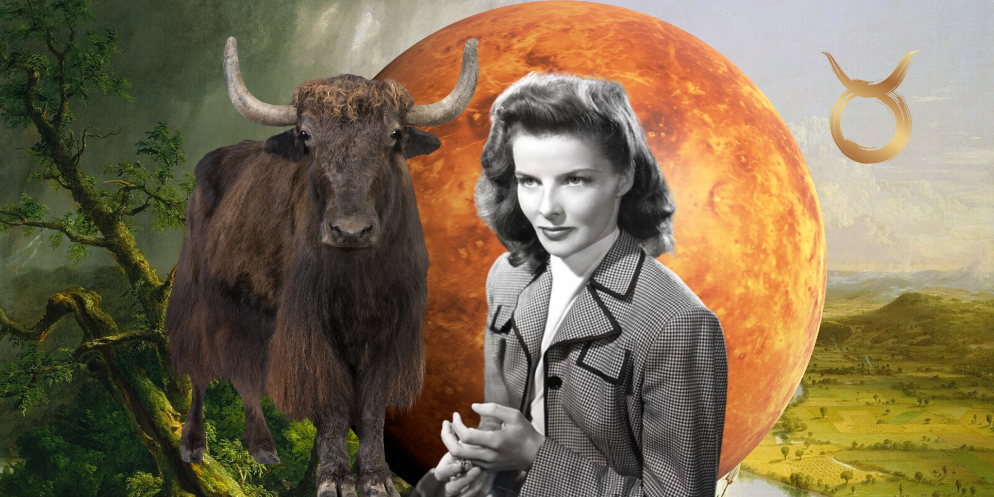 Weekly Astrology Jan 19th 2026 Forecast for All Signs - Michele Knight ...