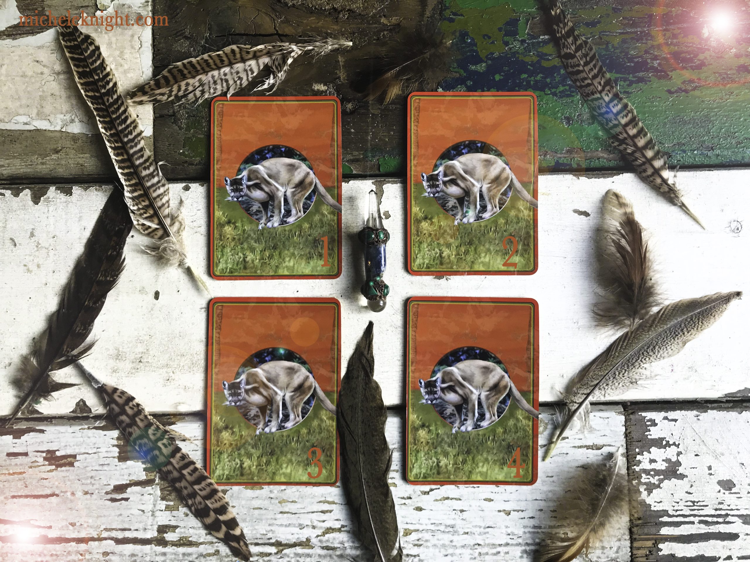FREE Four Card Power Animal Oracle - Michele Knight-Waite