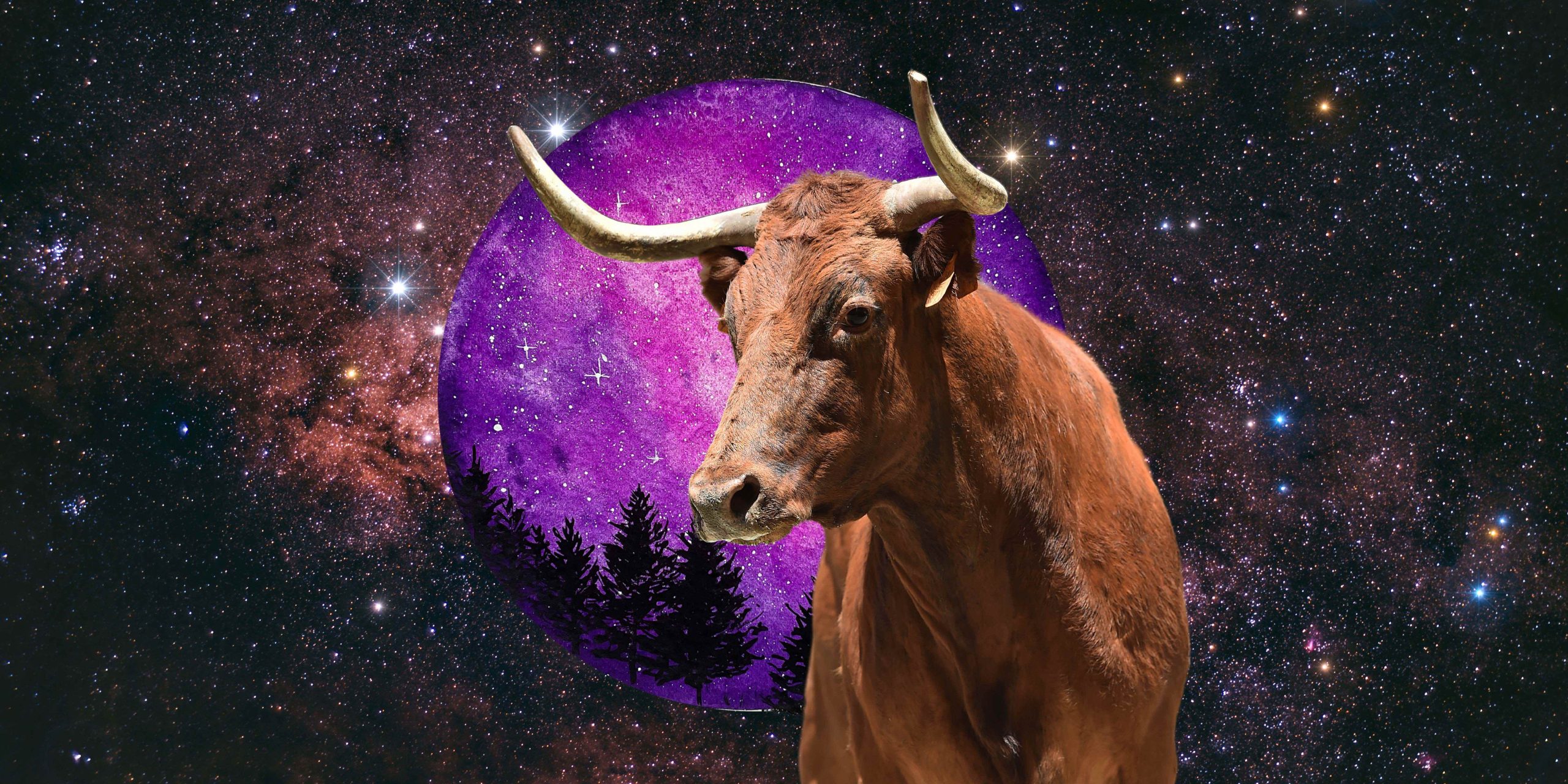 Your New Moon in Taurus Moonscope May 8th 2024 - Michele Knight-Waite